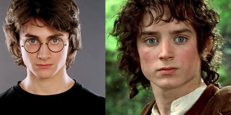 Harry Potter & Frodo Baggins Have This One AMAZING Thing In Common