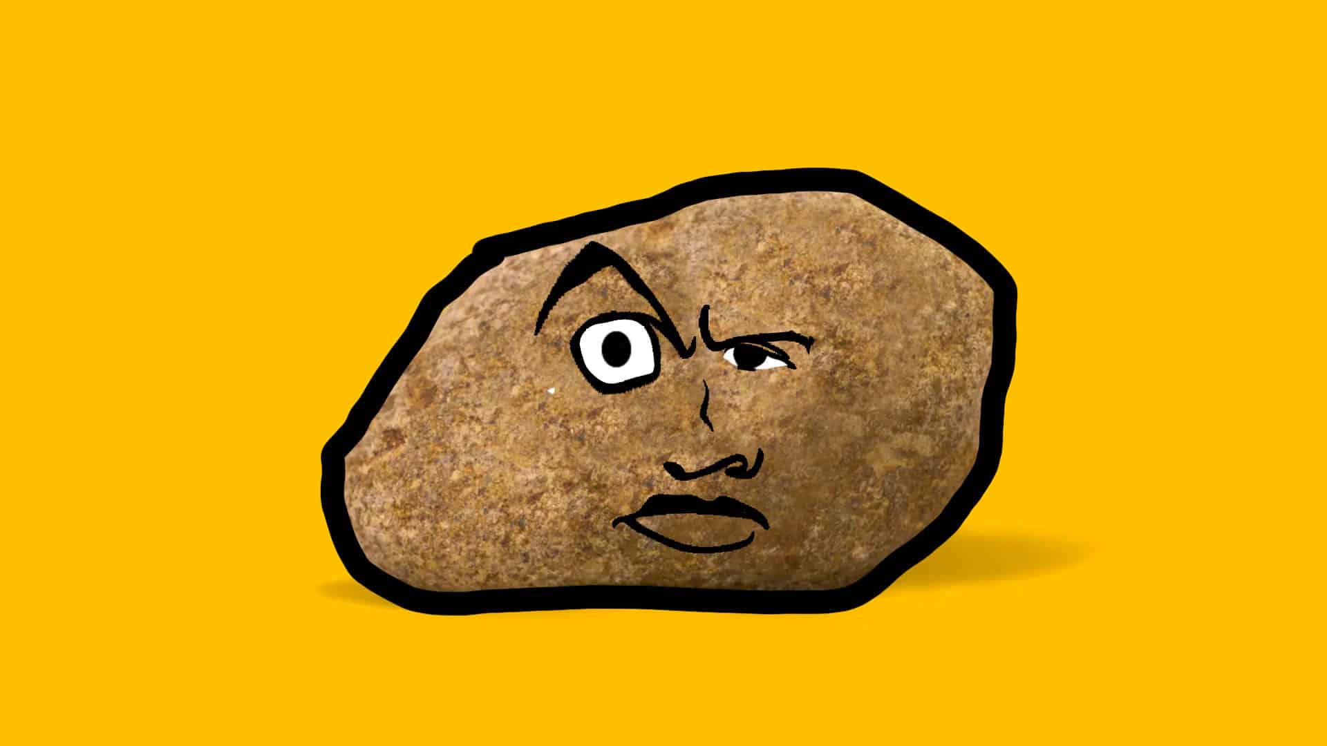 Dwayne The Rock Johnson s Next Project Should Be About A Pet Rock