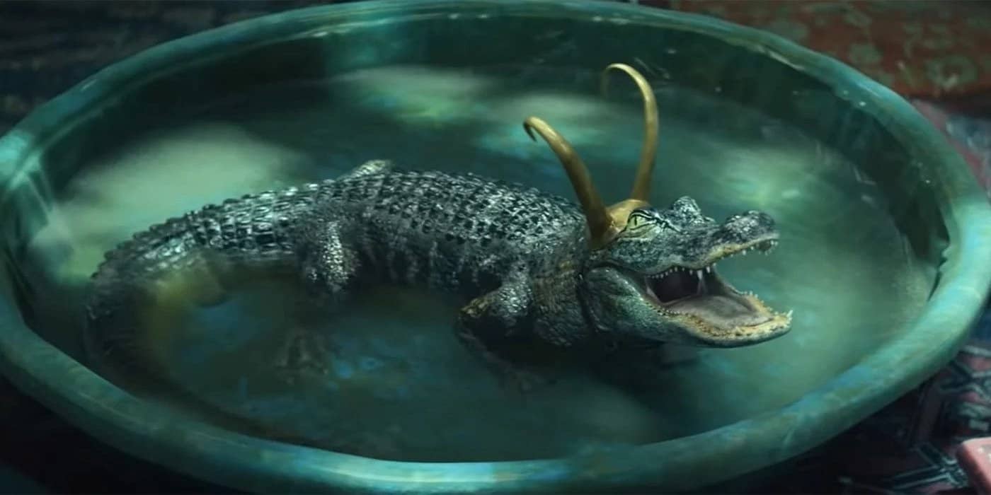 Why Is There An Alligator Loki?
