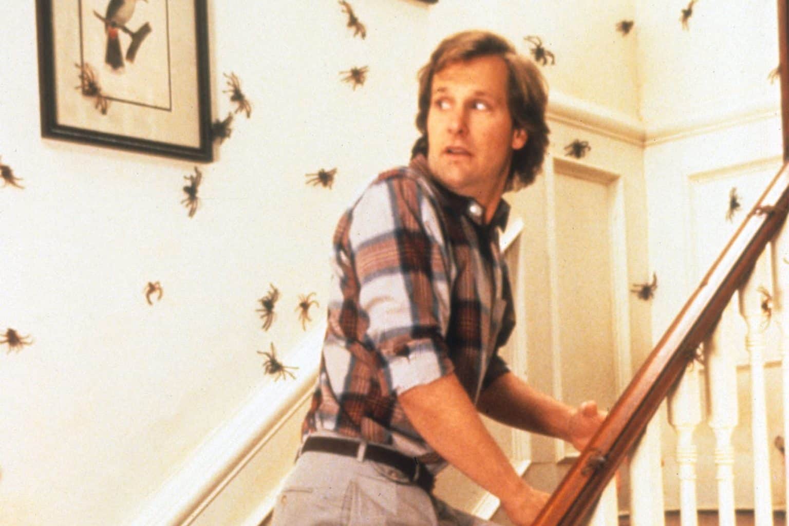 Arachnophobia Reboot: We're About To Fear Spiders Again