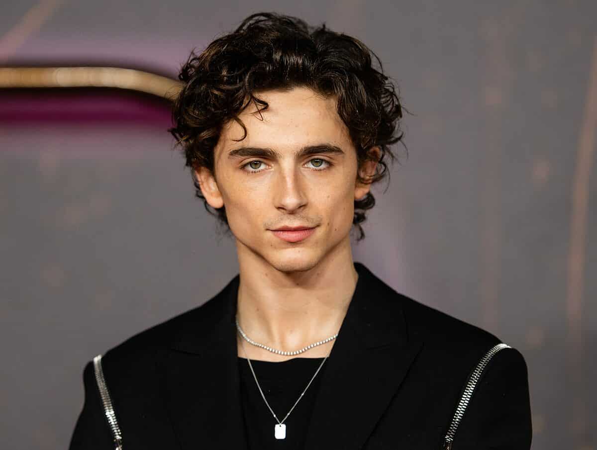 Live-Action Corpse Bride Movie: Fans Want Jenna Ortega & Timothée Chalamet Live-Action Corpse Bride Movie: Fans Want Jenna Ortega & Timothée Chalamet