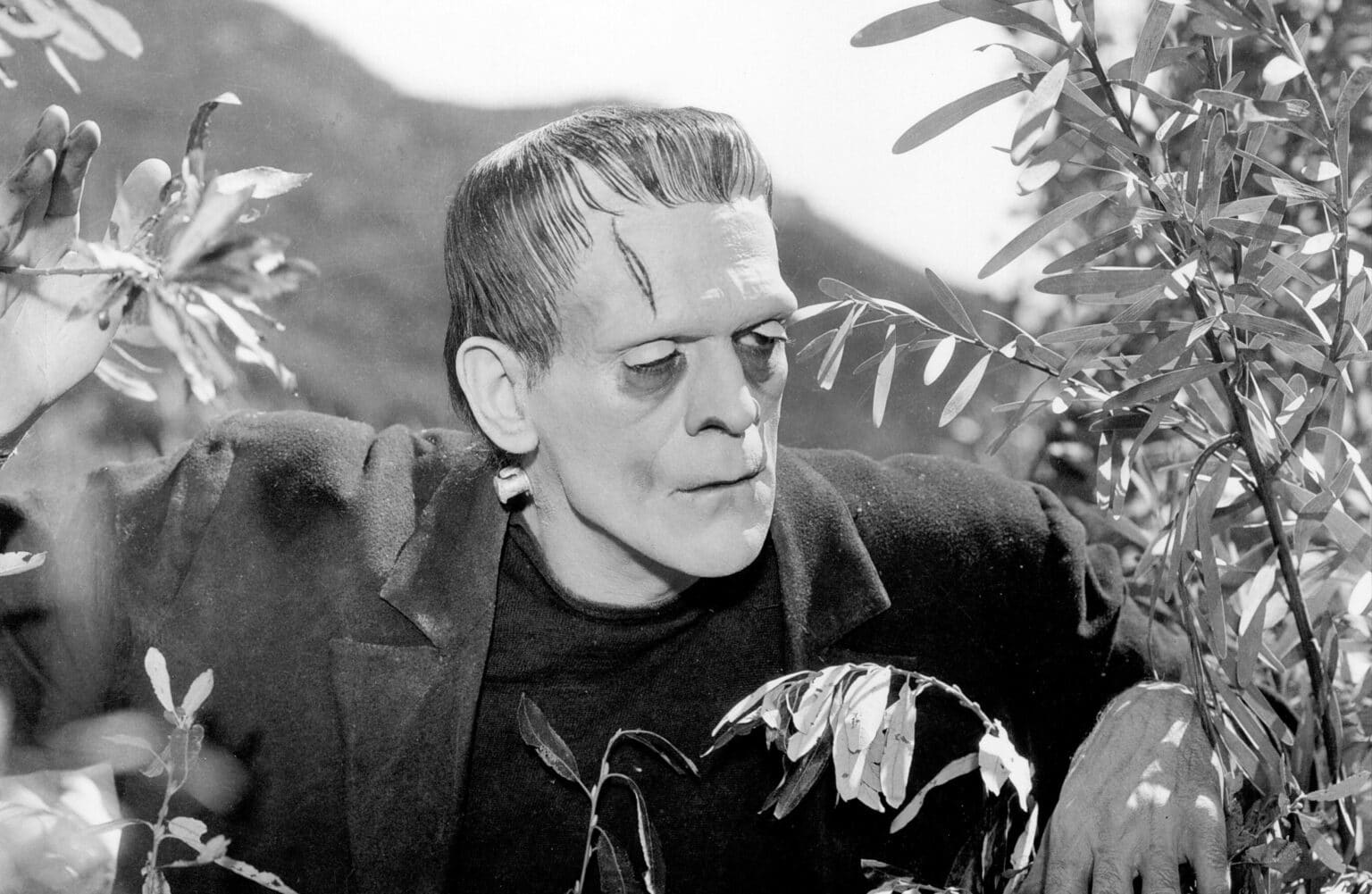 The 21 Best Classic Monster Movies Of All Time
