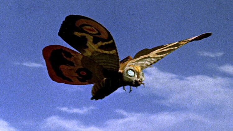 21 Classic Monster Movies You’ll Never Get Tired of Rewatching