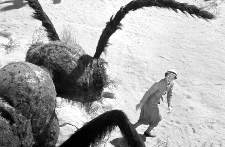 The 21 Best Classic Monster Movies Of All Time