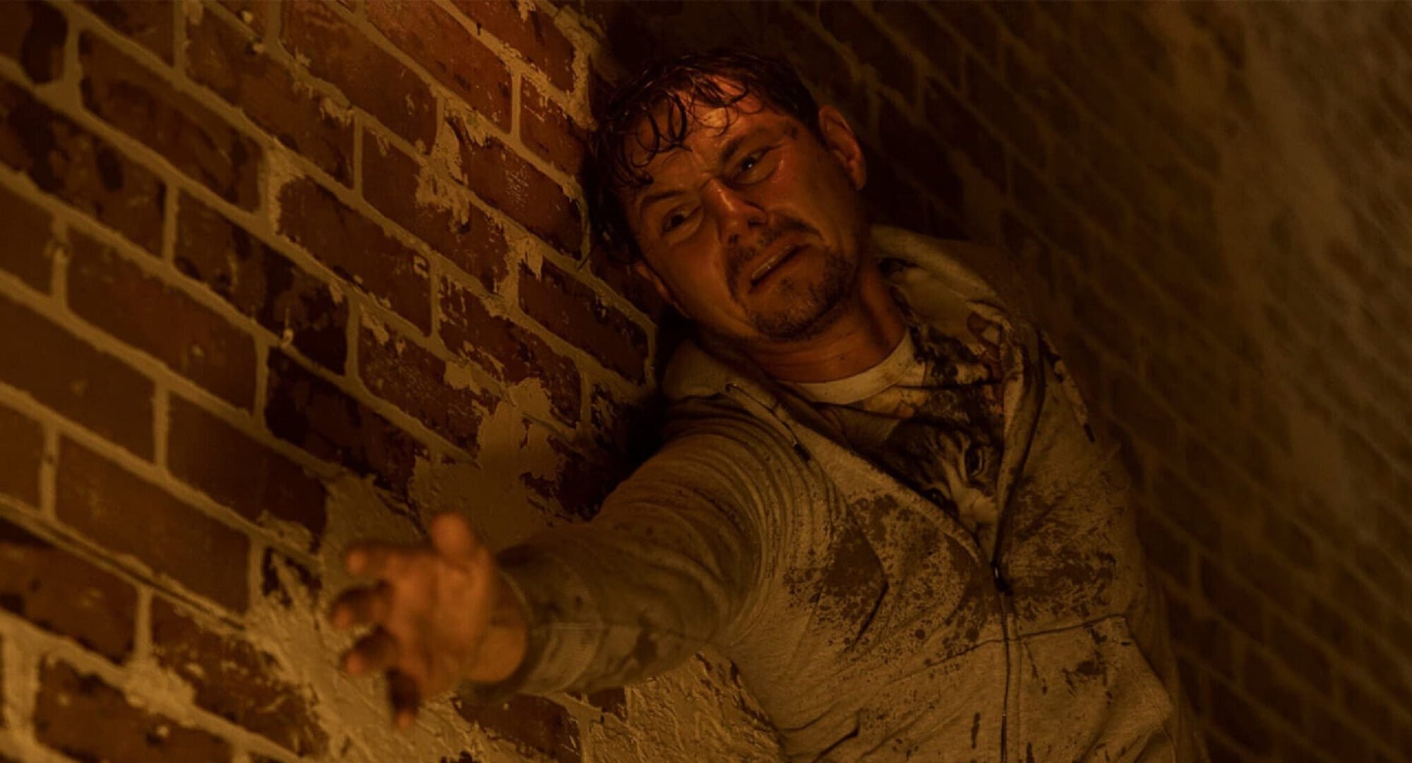 Dear David Movie Review - Lacks the Bite of the Real-Life Horror Story