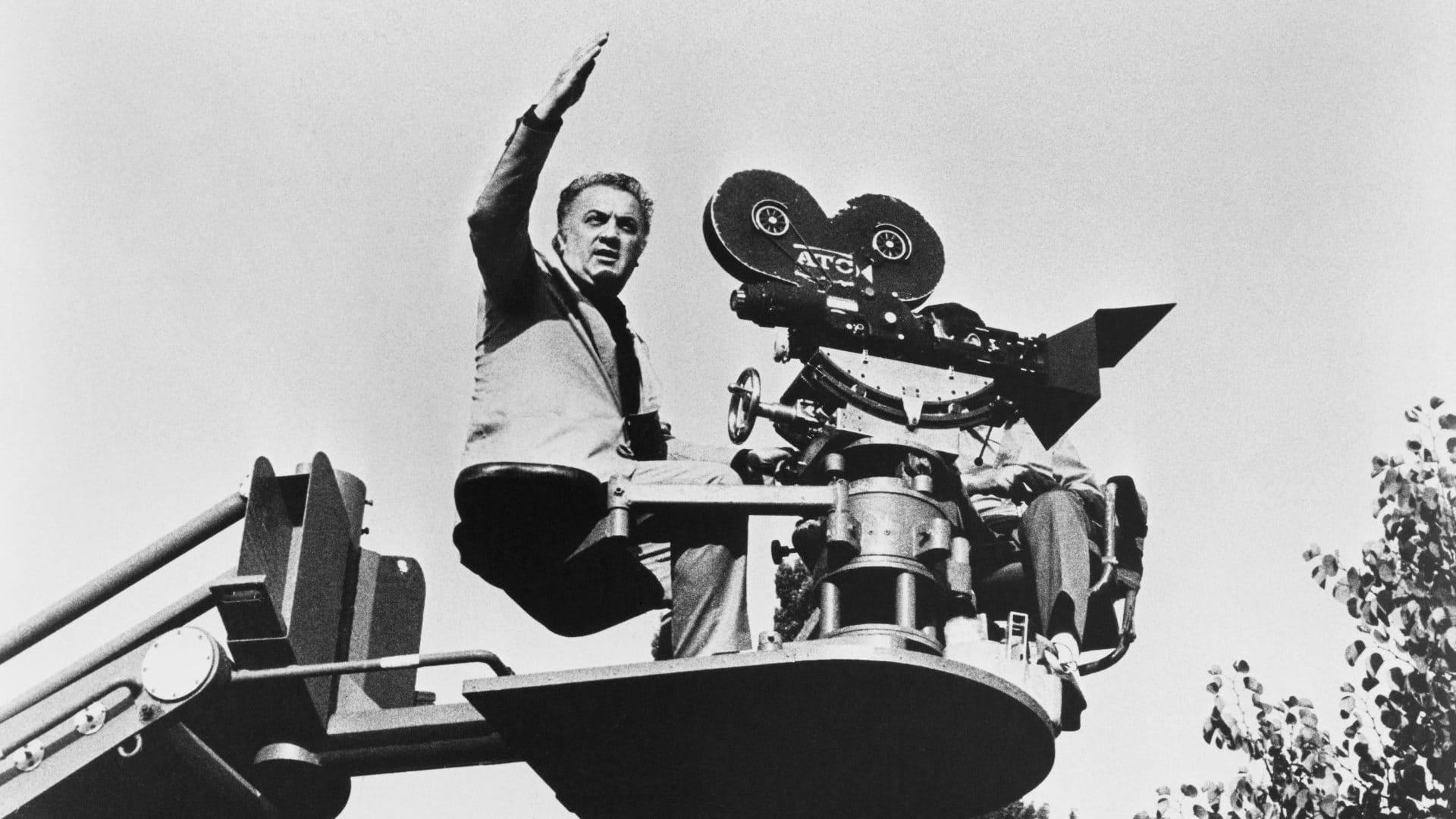 The Best 25 Best Movie Directors of All Time, Ranked