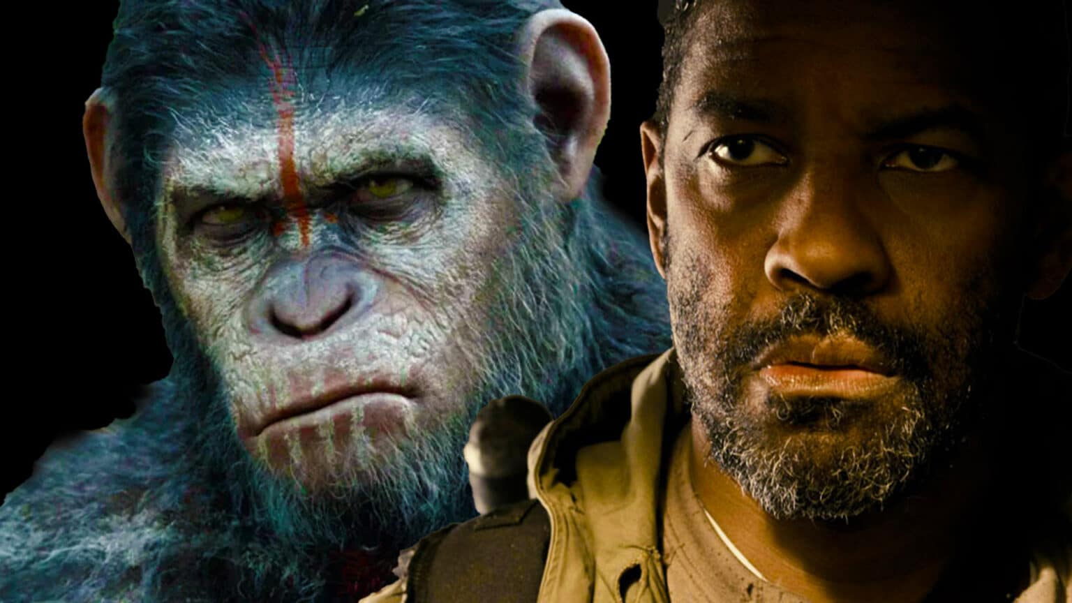 The Top 10 Best Post-Apocalyptic Movies, Ranked