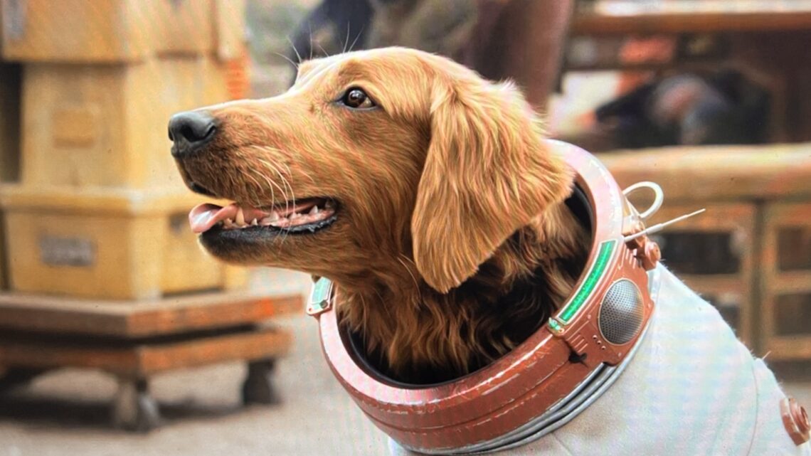 The 8 Best Superhero Dogs of All Time (Yes, Krypto’s on the List)