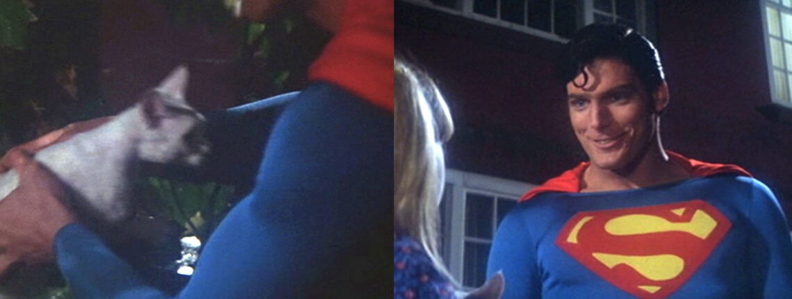 It's Time To Retire Superman Pulling Cats From Trees - For Good