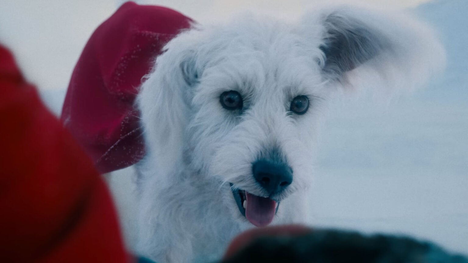 James Gunn's Superman Teaser Trailer: Bright Colors, Krypto, and a ...