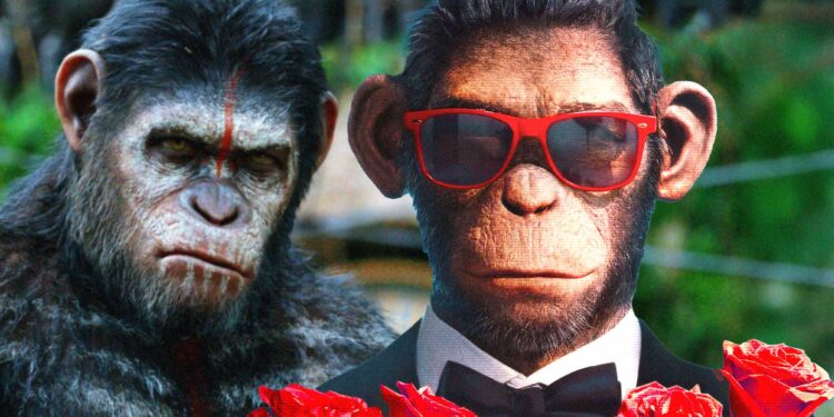 Interview: Toni Collette Spills Juicy Behind-the-Scenes Secrets About ...