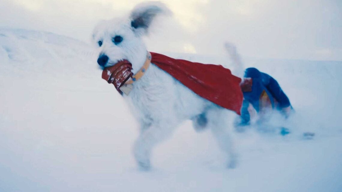 David Corenswet Says Everything You Think You Know About Krypto Is Wrong
