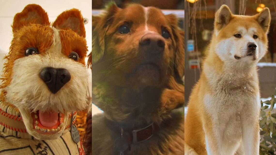 The Top 10 Most Beautiful Dog Movies Of All Time