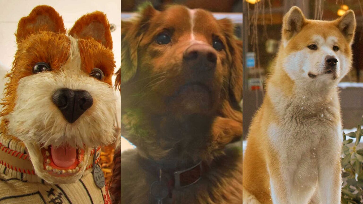 The Top 10 Most Beautiful Dog Movies Of All Time