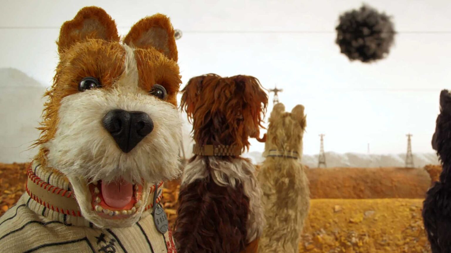 The Top 10 Most Beautiful Dog Movies Of All Time